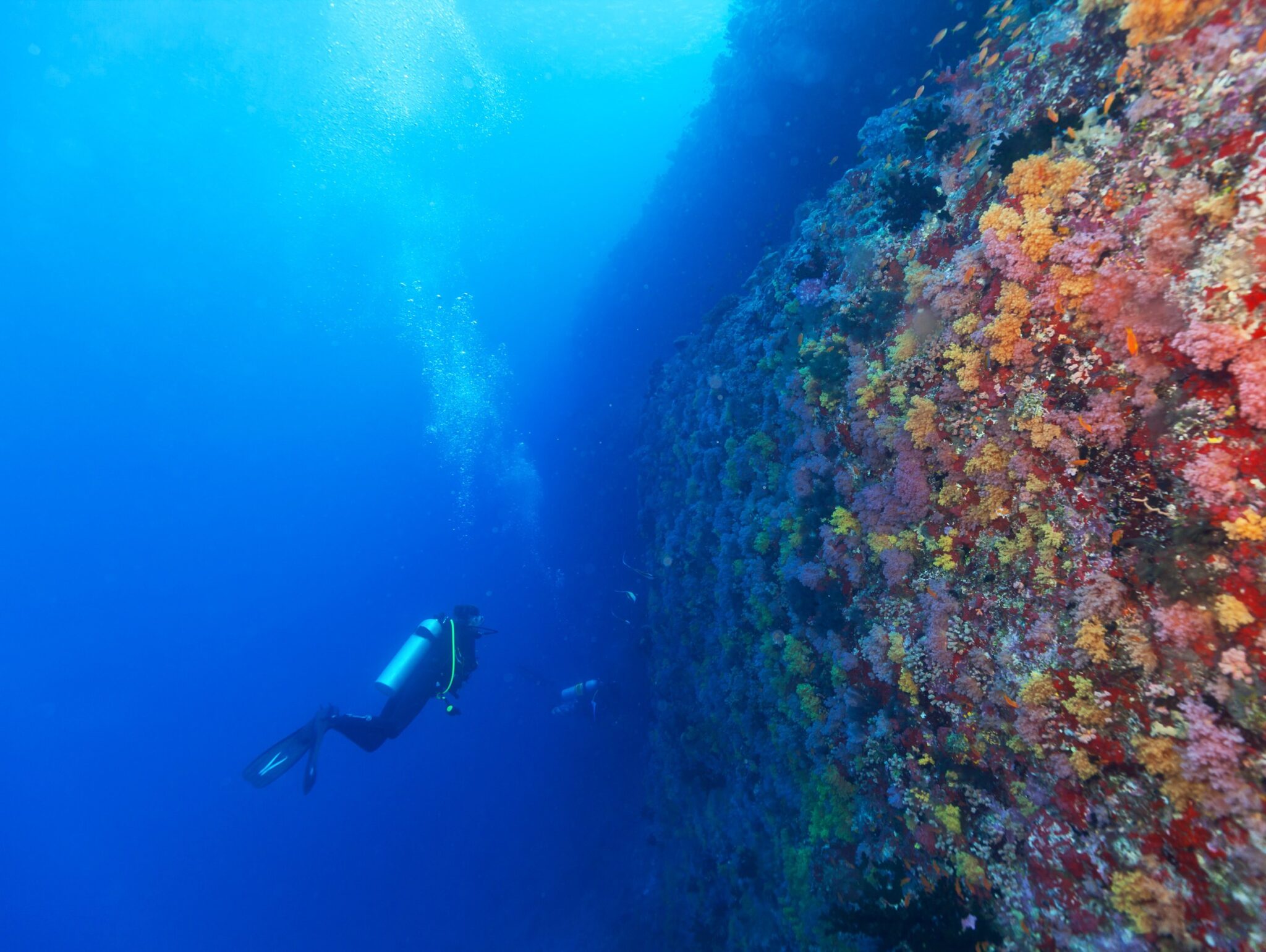 The importance of Ocean Exploration - The Maroon Tiger